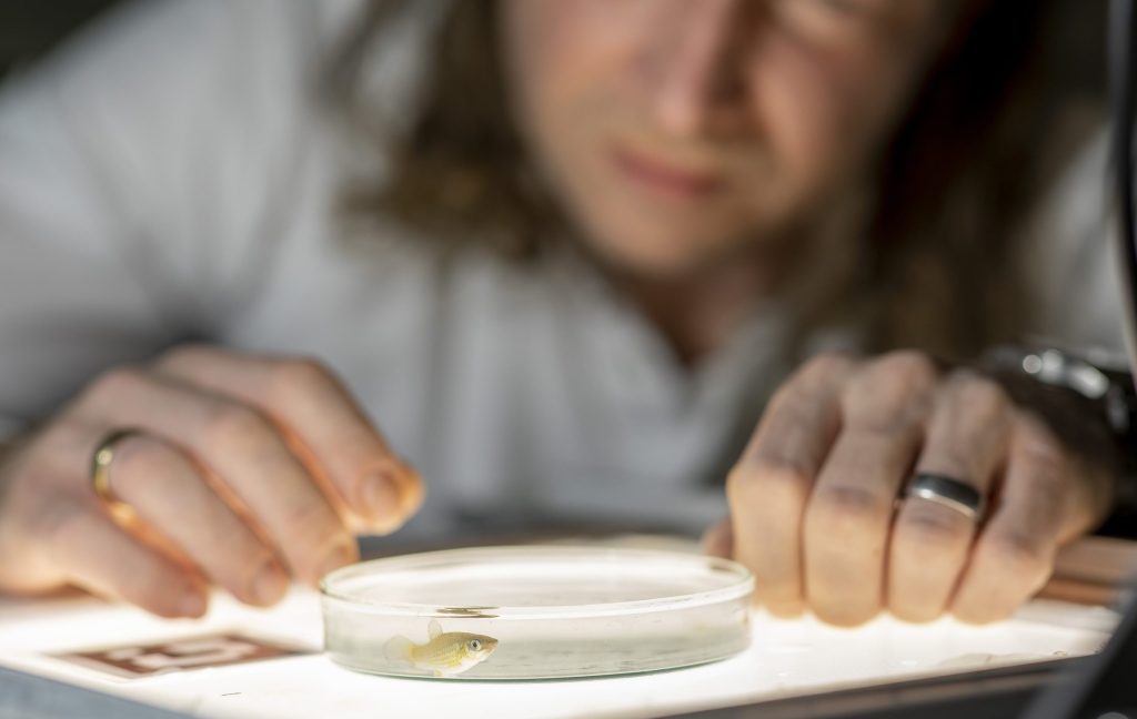 Project 58 - scienceofintelligence.de