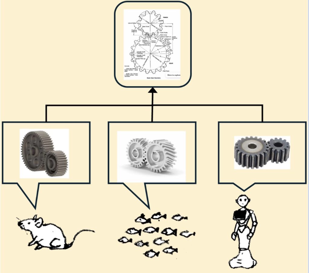 Candidate Principles of Intelligence - scienceofintelligence.de